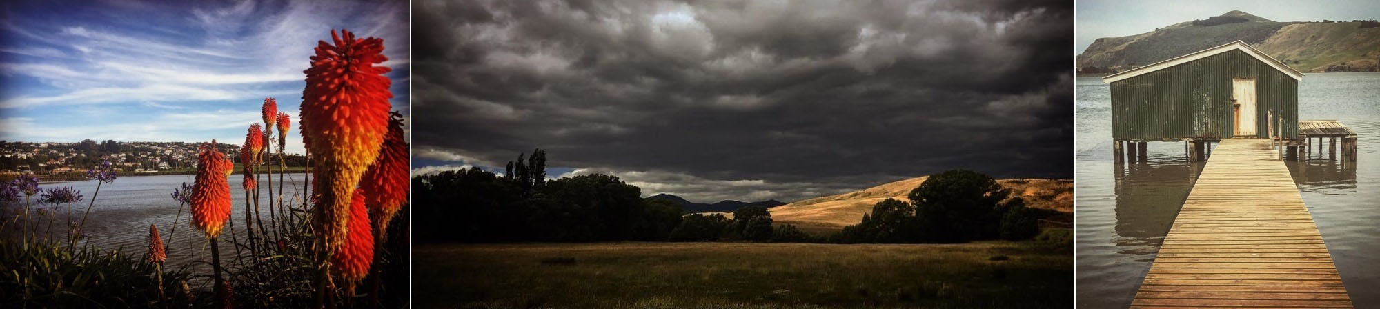 Lawyers Dunedin Law firms Otago Property Lawyers