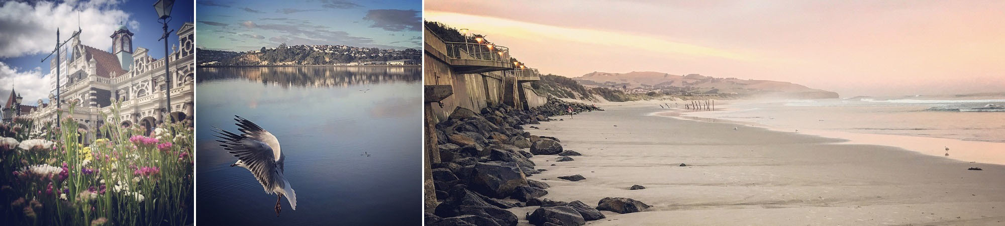 Dunedin lawyers Business lawyers Divorce Property lawyers