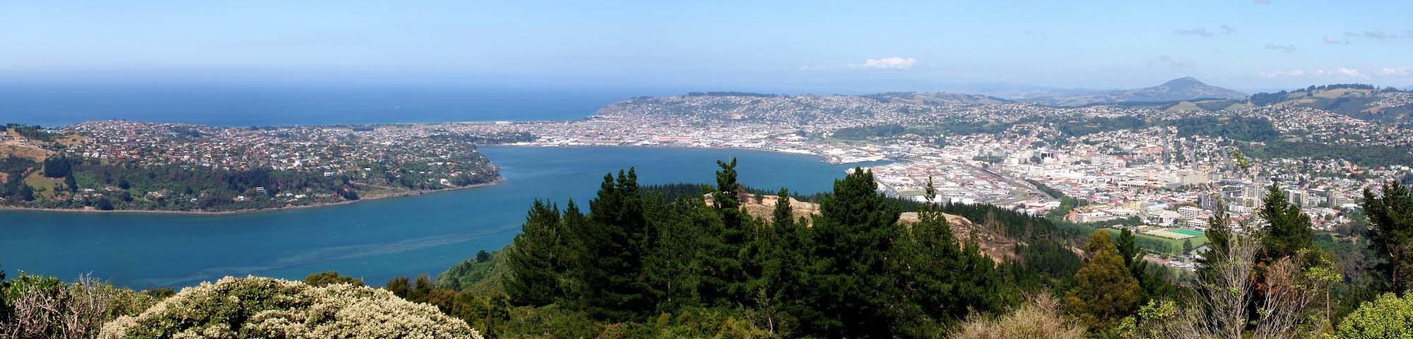 Lawyer Dunedin Otago Legal advice Elder law