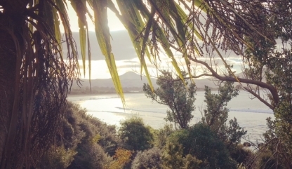 Lawyer Dunedin Otago Legal advice Elder law